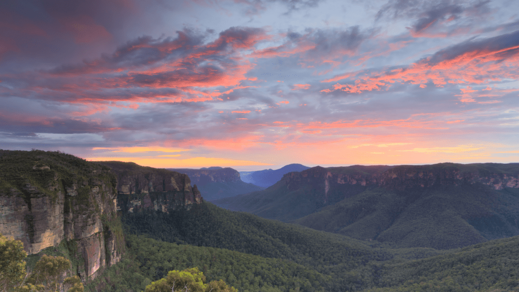 16 Overused Words and Phrases and What to Say Instead